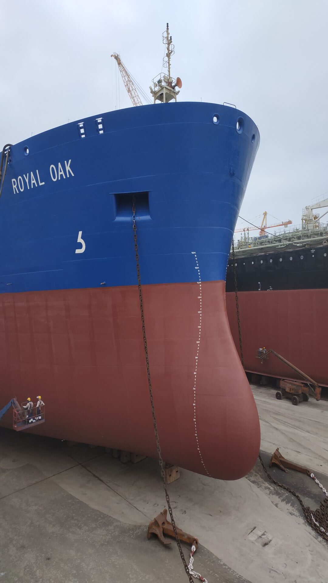 Gallery - Coral Shipping